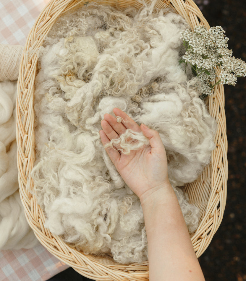 Merino Wool Apparel for Every Occasion | wool&